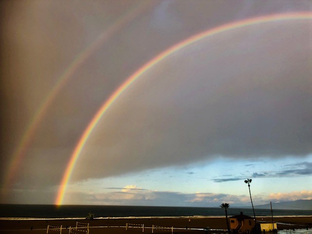 Sharon rainbow | Circling The News