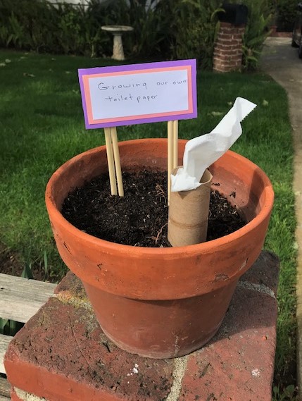 marge toilet paper | Circling The News