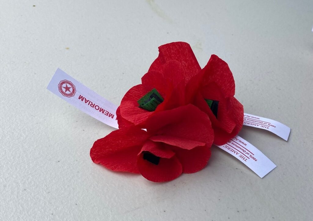 Celebrate National Poppy Day May 27 | Circling The News