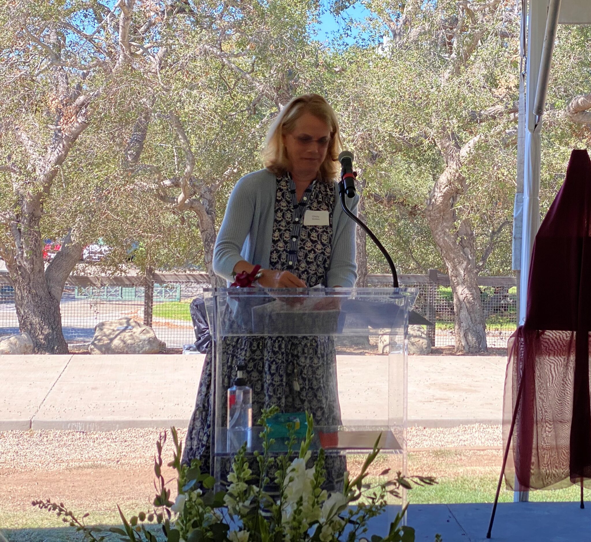 Annual YMCA Metropolitan Celebration Held at Simon Meadow - Circling ...