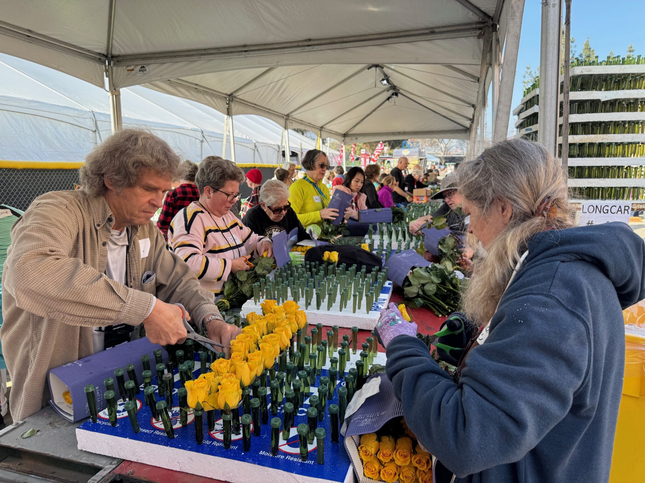 Rose Bowl Parade an Iconic Southern California Event: Try Decorating ...